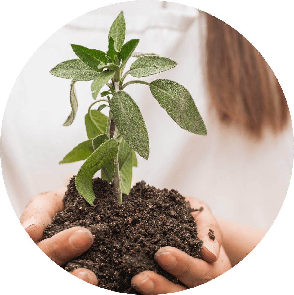 Polpusa - Los Especialistas en empaques flexibles de alta calidad